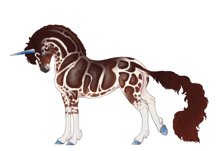 Clouded Tabby - Boucle Unicorn